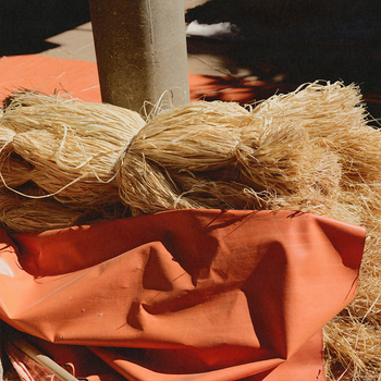 What is Raffia, and What Is Raffia Made From? - Helen Kaminski